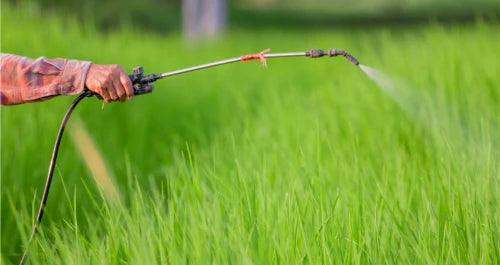 Herbicides, Insecticides & Pesticides | Australian Landscape Supplies