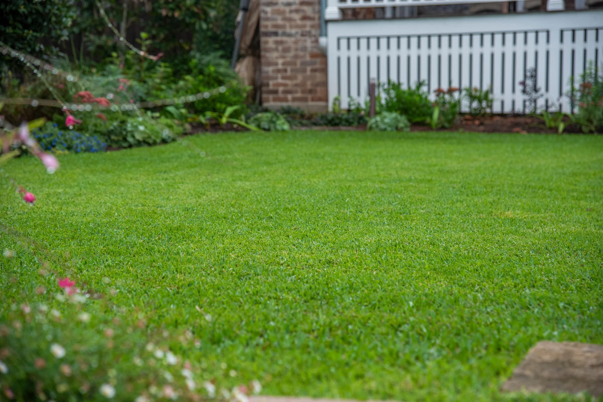 Instant Turf & Grass Varieties | Australian Landscape Supplies