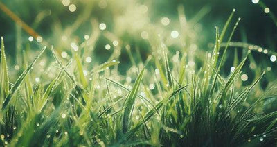 EGO POWER+ Double Shoulder Harness to suit BC3802E / BC3800E ...