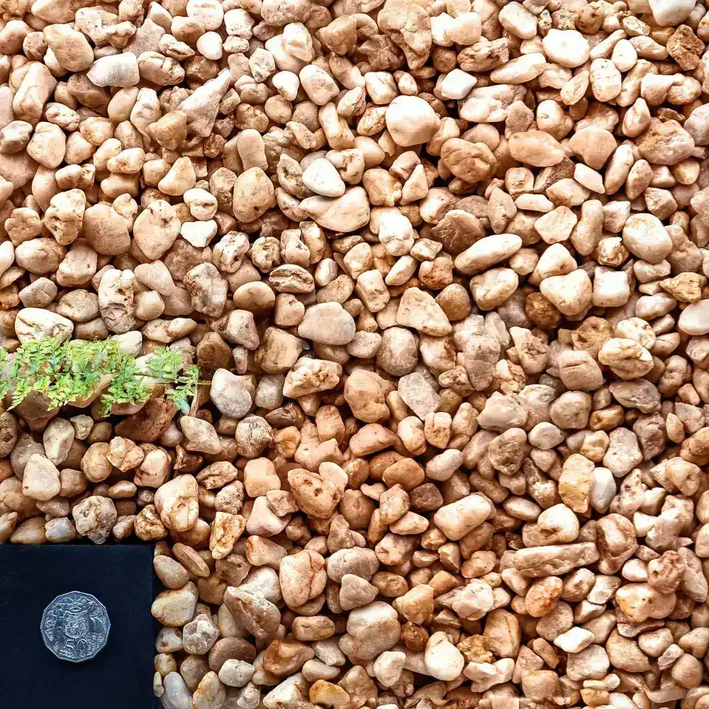 Gold Pebbles - 20mm - 20kg Bag | Australian Landscape Supplies