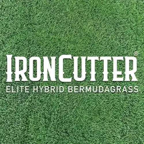 Iron Cutter Turf Hybrid Bermudagrass | Australian Landscape Supplies