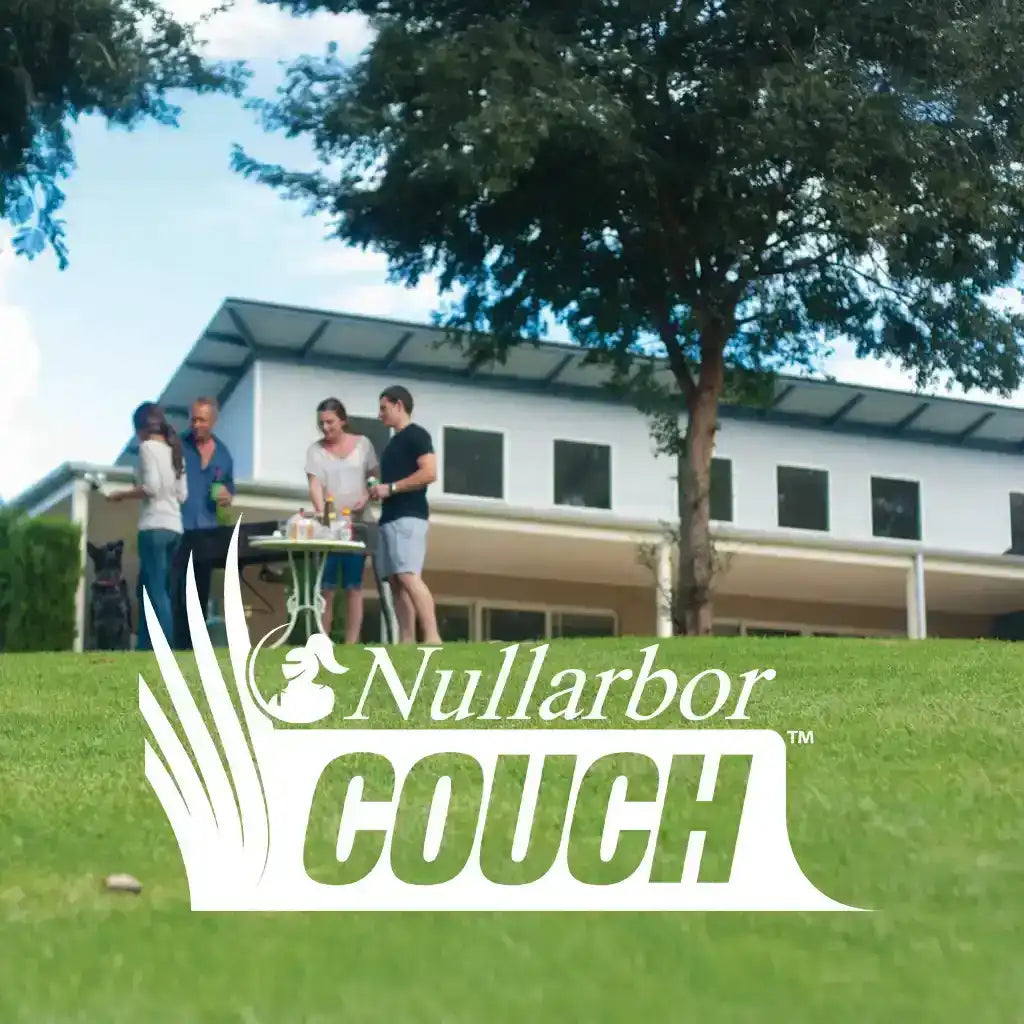 Nullarbor Couch Grass | Australian Landscape Supplies