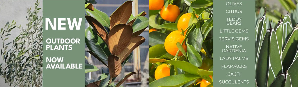 Australian Landscape Supplies | Your One-Stop Landscape Supplies Shop