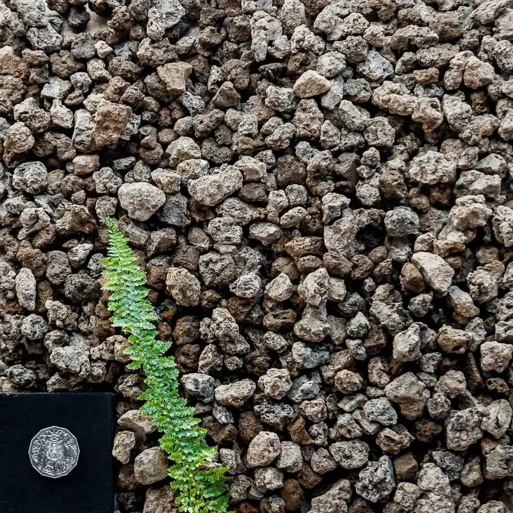 Charcoal Scoria Pebbles - 20mm - 20kg Bag | Australian Landscape Supplies